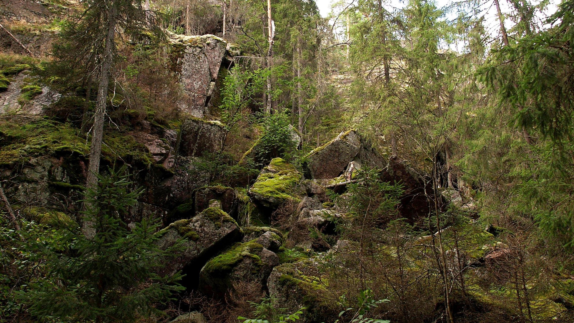 Metsäiset kalliot, jyrkänteet ja louhikot | Metsonpolku